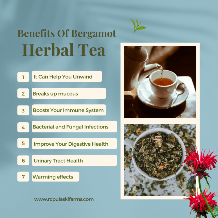 Bergamot – RC PULASKI FARMS